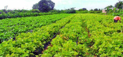 Para 2023, BNB prevê investir R$ 4,68 bi no Piauí - 180graus - O Maior Portal do Piauí