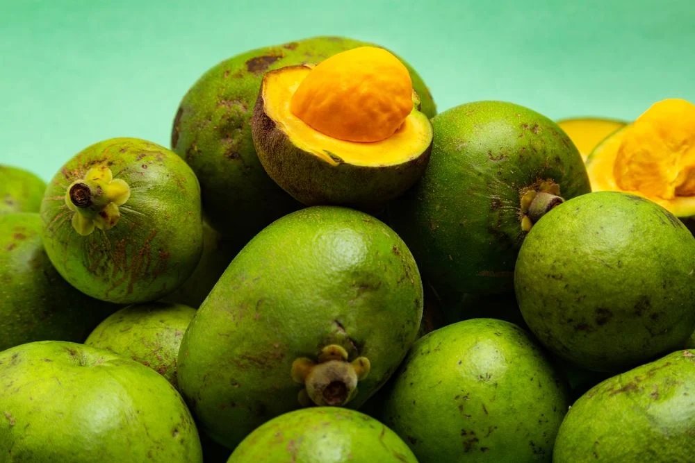 Pequi: amado por uns, odiado por outros, mas sempre presente na cultura ...