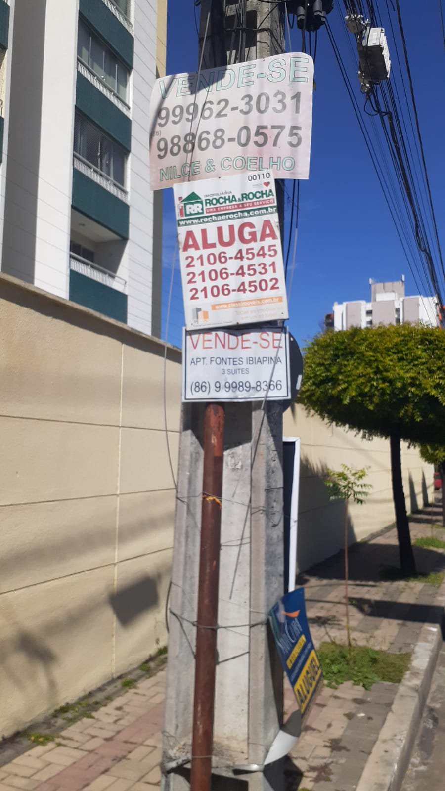 SAAD Leste realiza operação em combate a poluição visual em bairros ...