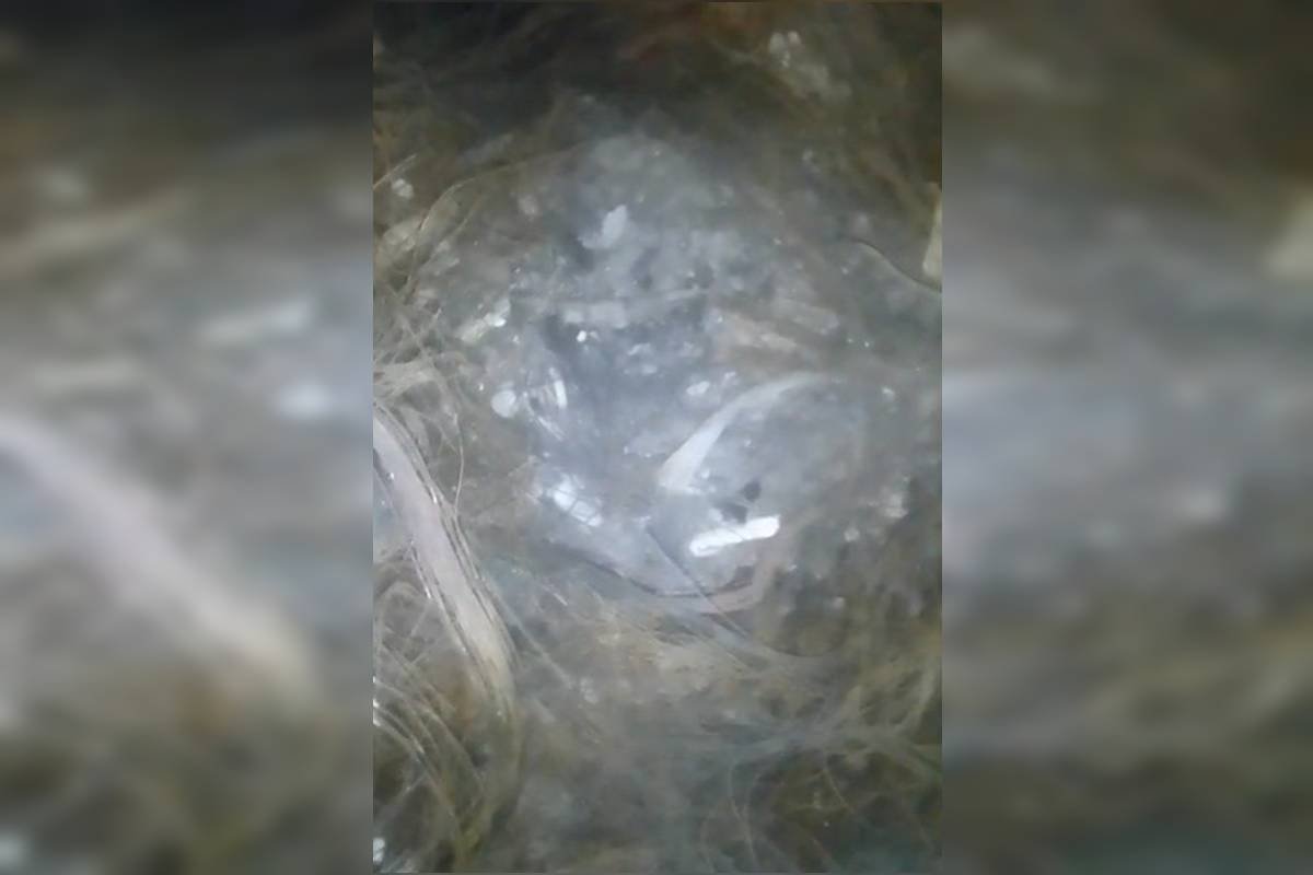 O que foi achado no galpão usado por advogado em ritual satânico ...
