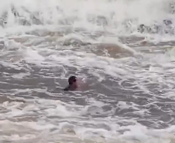 Pescador enfrenta perigo ao ser arrastado por correnteza na Cachoeira ...
