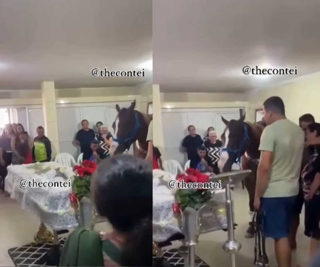 Em momento emocionante, cavalo de Robin da Carne se despede do tutor ...